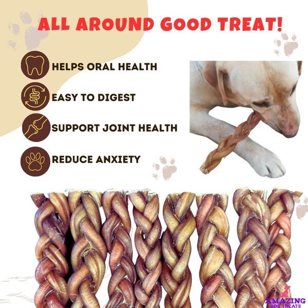 AMAZING DOG TREATS Adult 12-inch Beef Braided Bully Stick Dog Treats, 4 ...