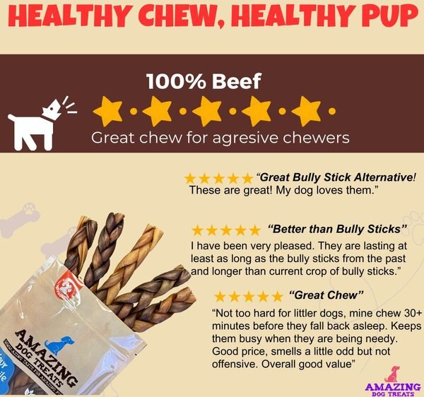 Discontinued - AMAZING DOG TREATS Adult 6-inch Beef Braided Collagen ...