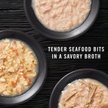 AMERICAN JOURNEY Landmark Broths Seafood Variety Pack Wet Cat Food ...