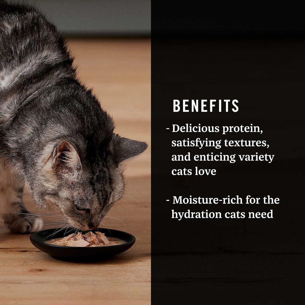 AMERICAN JOURNEY Landmark Broths Seafood Variety Pack Wet Cat Food ...