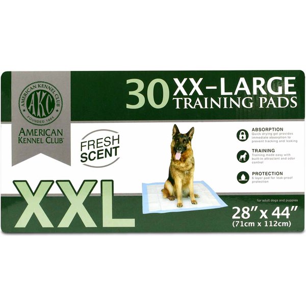 HONEYCARE All-Absorb Extra Large Super Absorbent Training Pads, 28 x 34 in, 40 count - Chewy.com