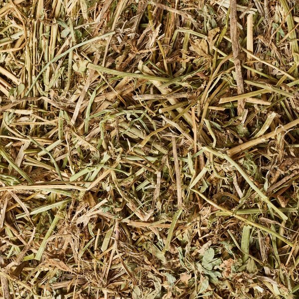 AMETZA Compressed Alfalfa Hay Bale Horse Forage, 50-lb bale - Chewy.com