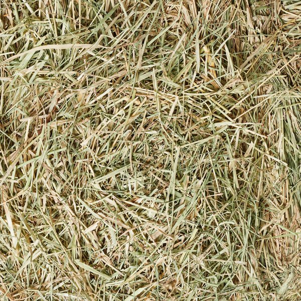 AMETZA Premium Compressed Bermuda Hay Bale Horse Forage, 50-lb bale ...