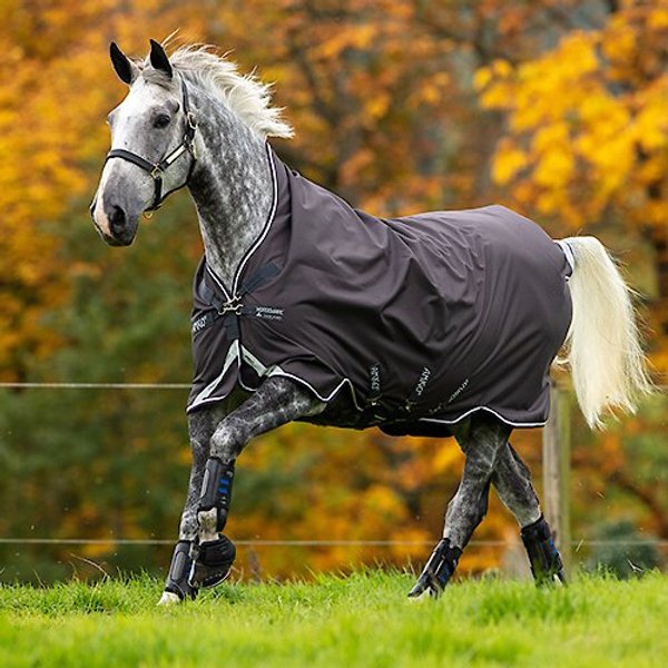 HORZE Nevada Lightweight Turnout Horse Sheet, Black, 63-in - Chewy.com