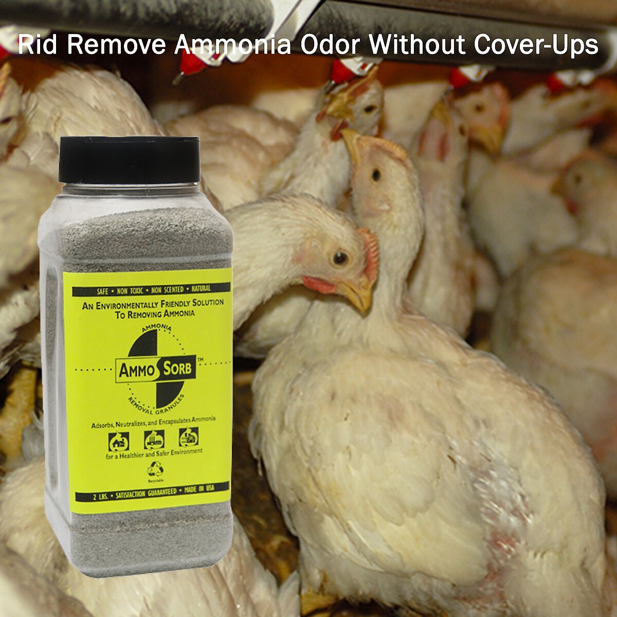 AMMOSORB Natural Ammonia Small Animal Odor Elimination Granules, 2-lb ...