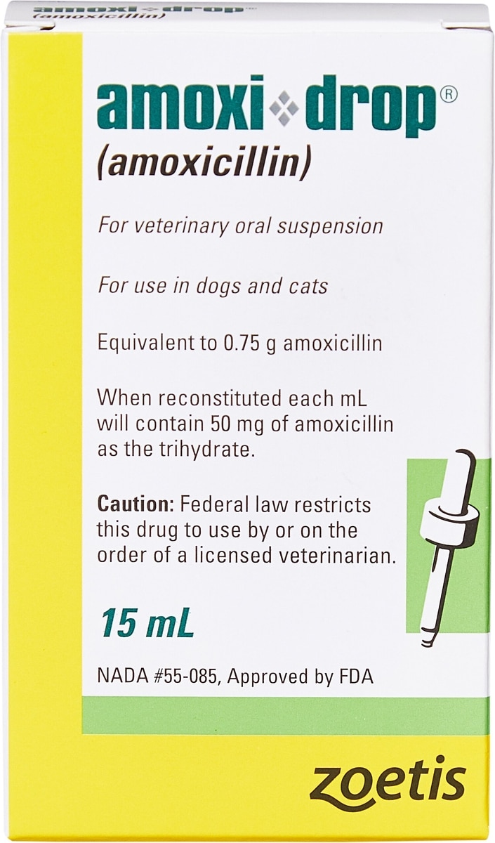 Amoxi-Drop (Amoxicillin) Powder for Oral Suspension for Dogs & Cats, 50 ...