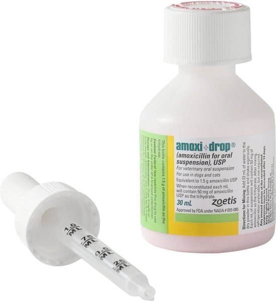 Amoxi-Drop (Amoxicillin) Powder for Oral Suspension for Dogs & Cats, 50 ...