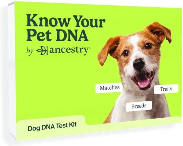 ANCESTRY Breed Identification Dog DNA Test Kit - Chewy.com