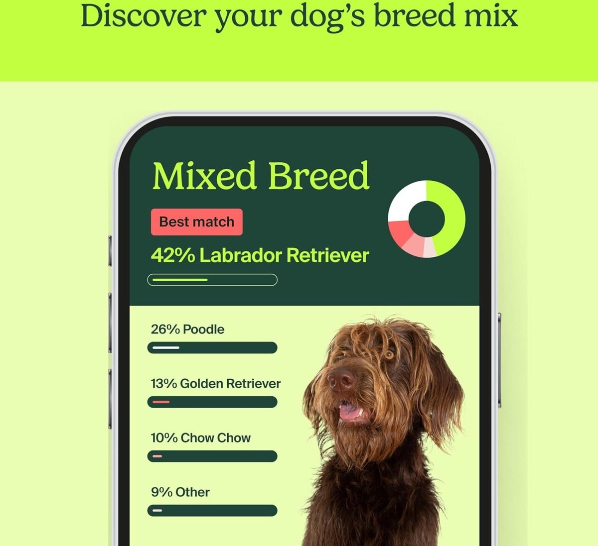 ANCESTRY Breed Identification Dog DNA Test Kit - Chewy.com