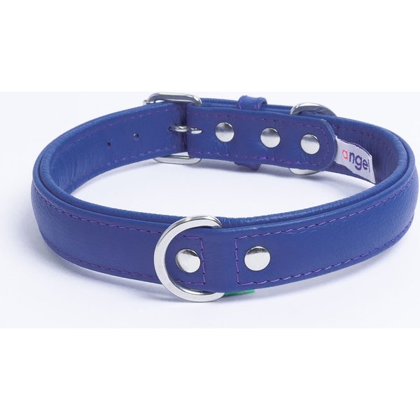 ANGEL Rotterdam Bones Standard Dog Collar, Blue, 22 x 1-in - Chewy.com