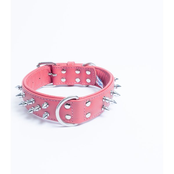 ANGEL Amsterdam Multi-line Spiked Standard Dog Collar, Black, 24 x 1.5 ...