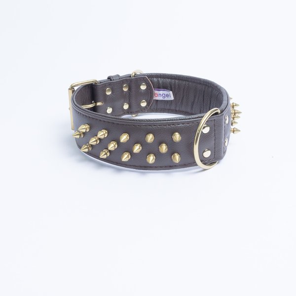 ANGEL Amsterdam Multi-line Spiked Standard Dog Collar, Black, 24 x 1.5 ...