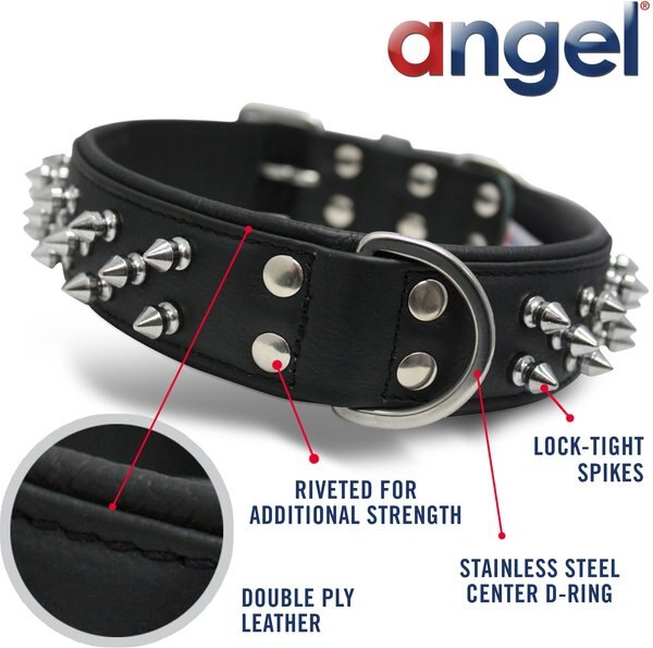 ANGEL Amsterdam Multi-line Spiked Standard Dog Collar, Black, 24 x 1.5 ...