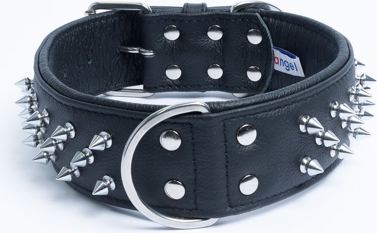 PADDED DOG COLLARS (Free Shipping) | Chewy