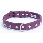 ANGEL Rotterdam Bones Standard Dog Collar, Blue, 22 x 1-in - Chewy.com