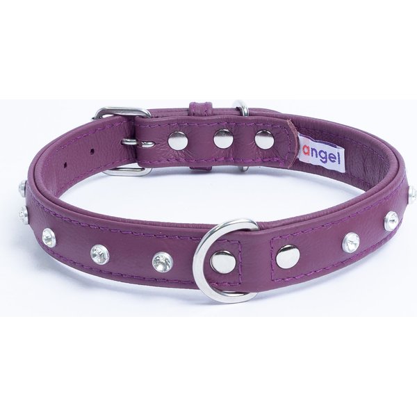 ANGEL Rotterdam Bones Standard Dog Collar, Blue, 22 x 1-in - Chewy.com