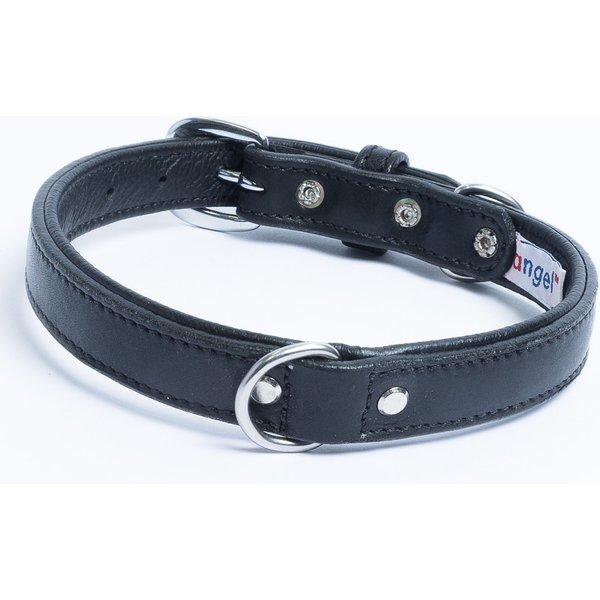 ANGEL Rotterdam Bones Standard Dog Collar, Blue, 18 x 3/4-in - Chewy.com