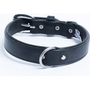 ANGEL Rotterdam Bones Standard Dog Collar, Blue, 22 x 1-in - Chewy.com