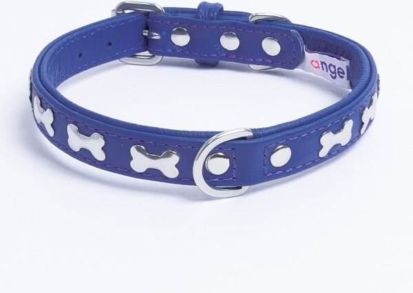 ANGEL Rotterdam Bones Standard Dog Collar, Blue, 18 x 3/4-in - Chewy.com