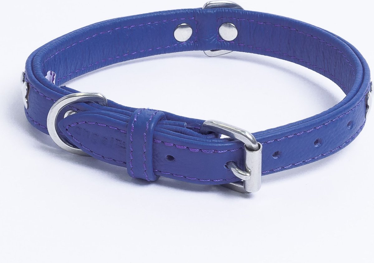 ANGEL Rotterdam Bones Standard Dog Collar, Blue, 18 x 3/4-in - Chewy.com