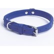 ANGEL Rotterdam Bones Standard Dog Collar, Blue, 18 x 3/4-in - Chewy.com