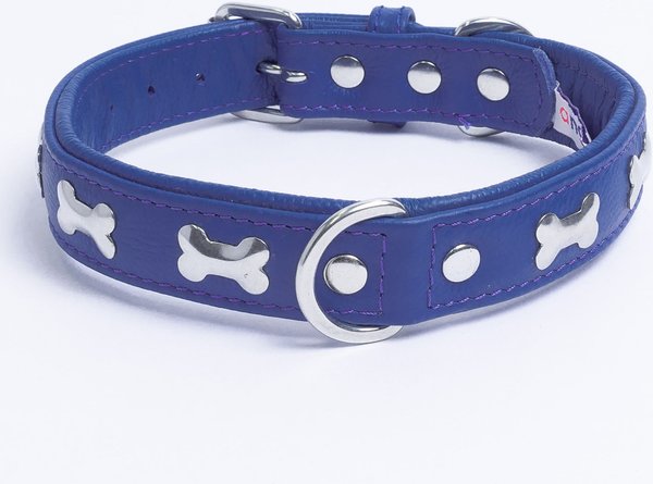 ANGEL Rotterdam Bones Standard Dog Collar, Blue, 22 x 1-in - Chewy.com