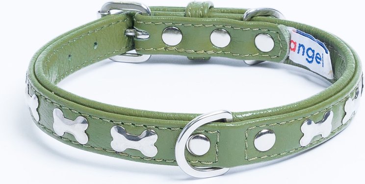 PADDED DOG COLLARS (Free Shipping) | Chewy
