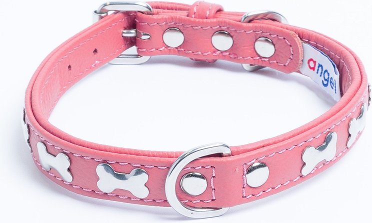 PADDED DOG COLLARS (Free Shipping) | Chewy