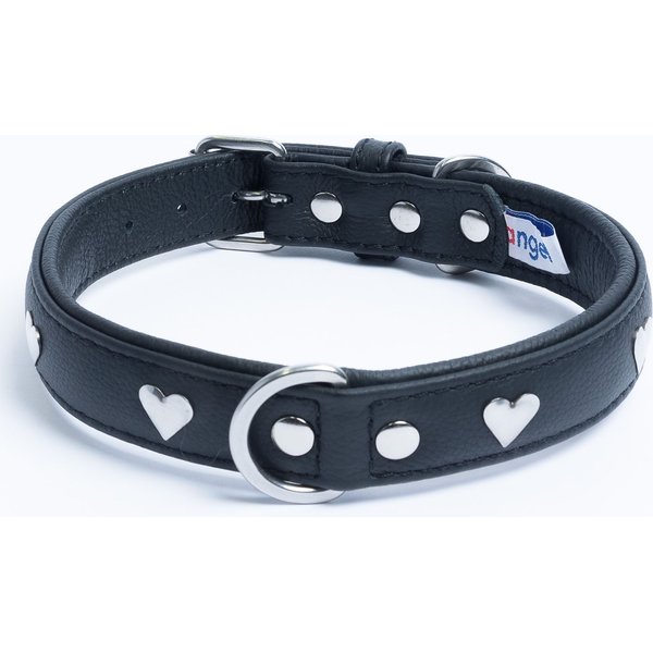 ANGEL Rotterdam Bones Standard Dog Collar, Blue, 22 x 1-in - Chewy.com