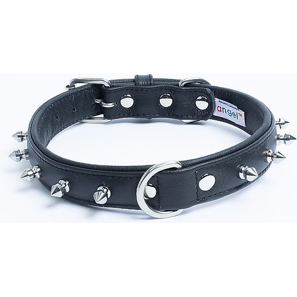 ANGEL Amsterdam Multi-line Spiked Standard Dog Collar, Black, 24 x 1.5 ...