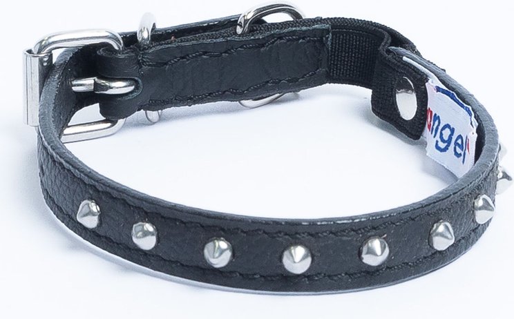 PADDED DOG COLLARS (Free Shipping) | Chewy