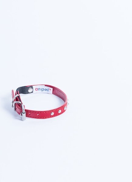ANGEL Studded Standard Cat Collar, Red, 12 x 1/2-in - Chewy.com