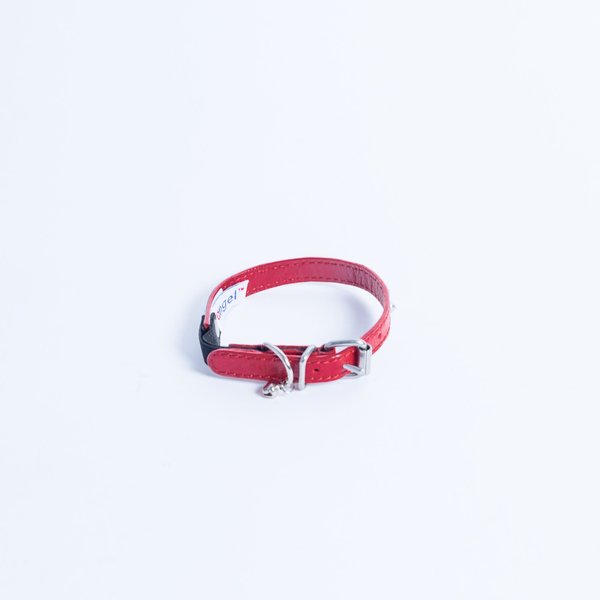 ANGEL Studded Standard Cat Collar, Red, 12 x 1/2-in - Chewy.com