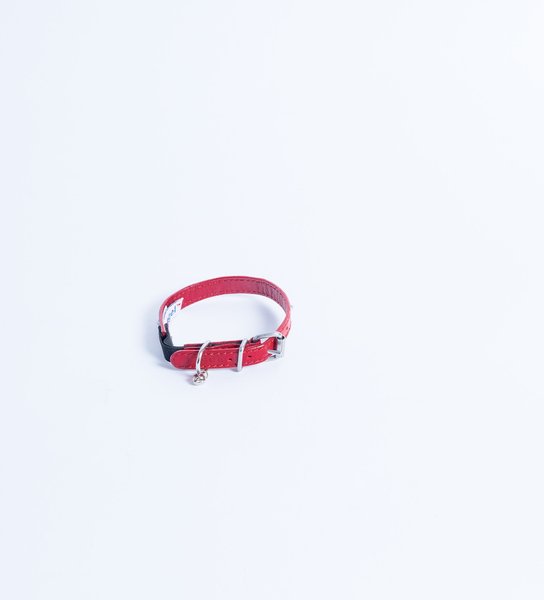 ANGEL Studded Standard Cat Collar, Red, 12 x 1/2-in - Chewy.com