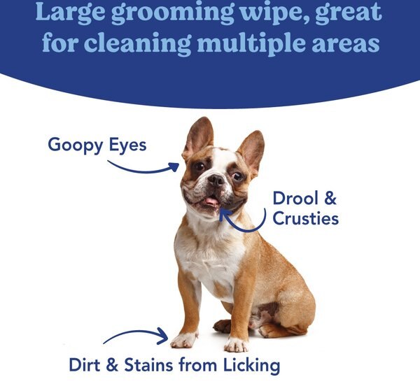 ANGELS' EYES Face Eye & Paw Cleansing & Tear Stain Wipe for Dogs & Cats ...