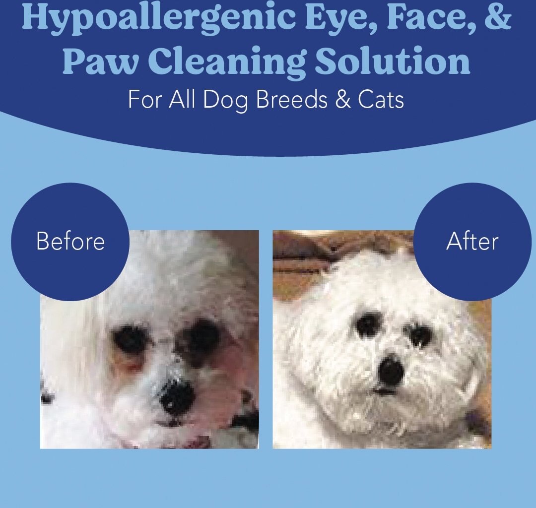 ANGELS' EYES Face Eye & Paw Cleansing & Tear Stain Wipe for Dogs & Cats ...