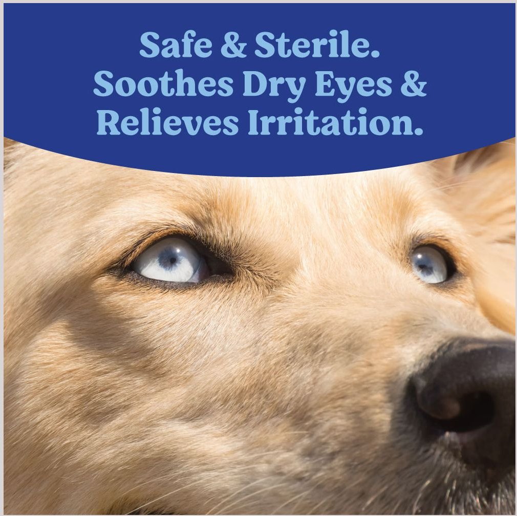ANGELS' EYES Multi-Purpose Sterile Dog & Cat Eye Lubricant, 3.5-g tube ...