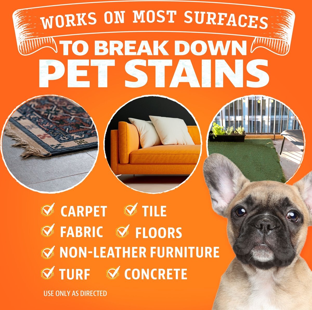 ANGRY ORANGE Bio-Enzymatic Pet Stain & Odor Eliminator Spray, 32-fl oz ...