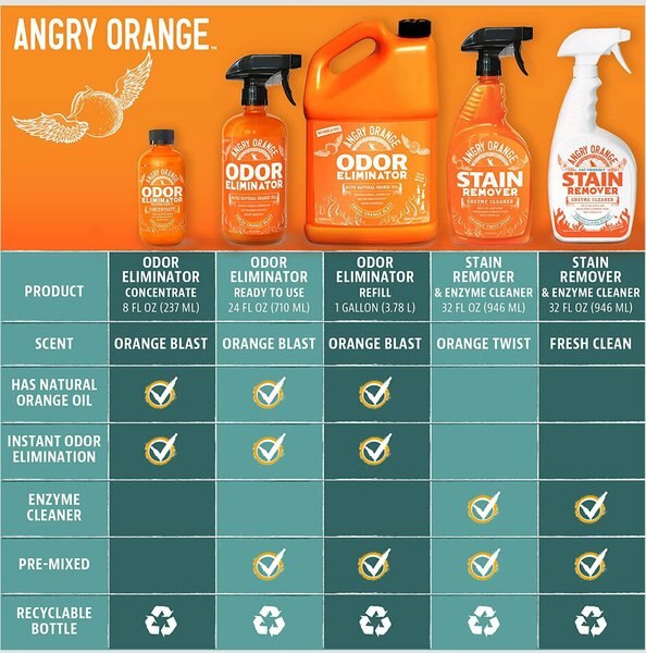 ANGRY ORANGE RTU Orange Scented Carpet Odor Eliminator, 128-fl oz ...