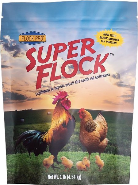 ANIMAL HEALTH SOLUTIONS Super Flock Chicken Supplement, 1-lb bag ...