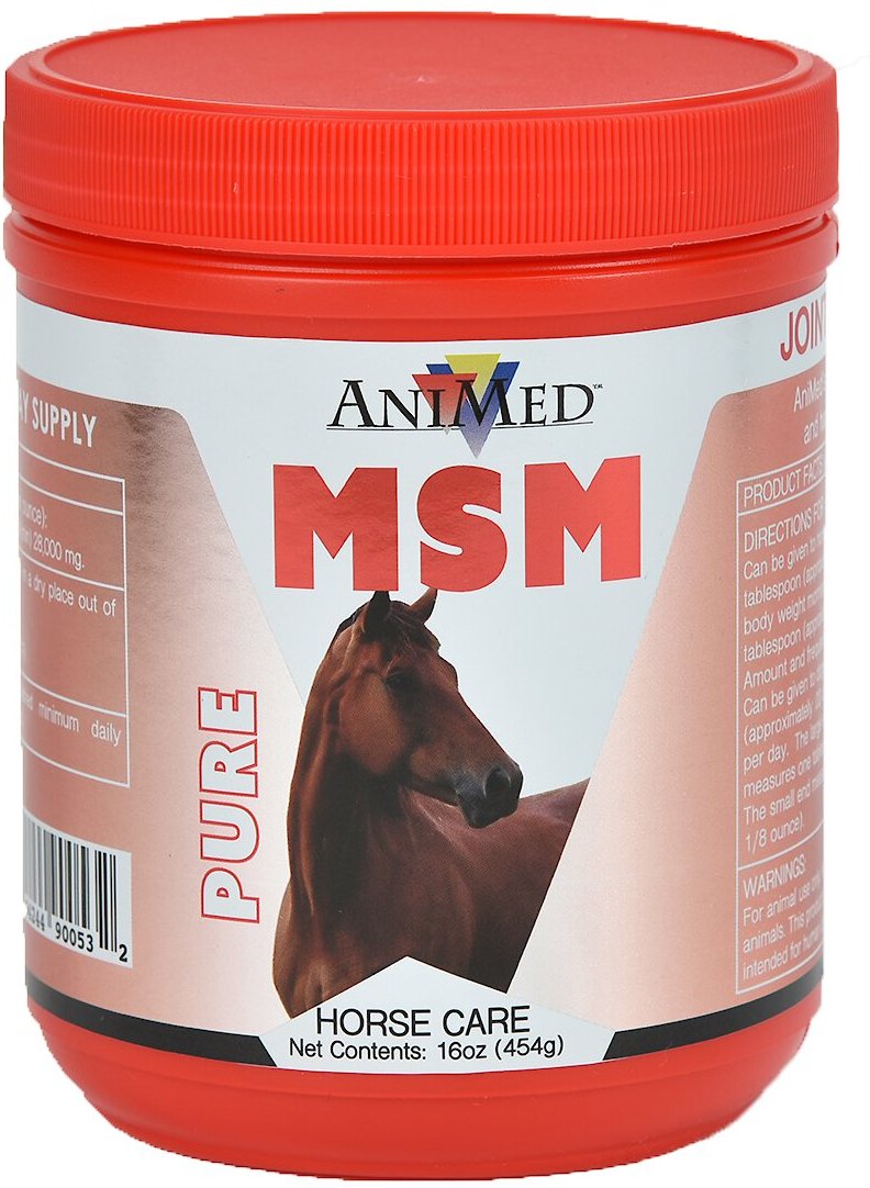 ANIMED Pure MSM Joint Support Powder Horse Supplement, 16-oz tub ...