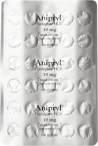 Out of Stock - ANIPRYL (Selegiline HCl) Tablets for Dogs, 30 tablets ...