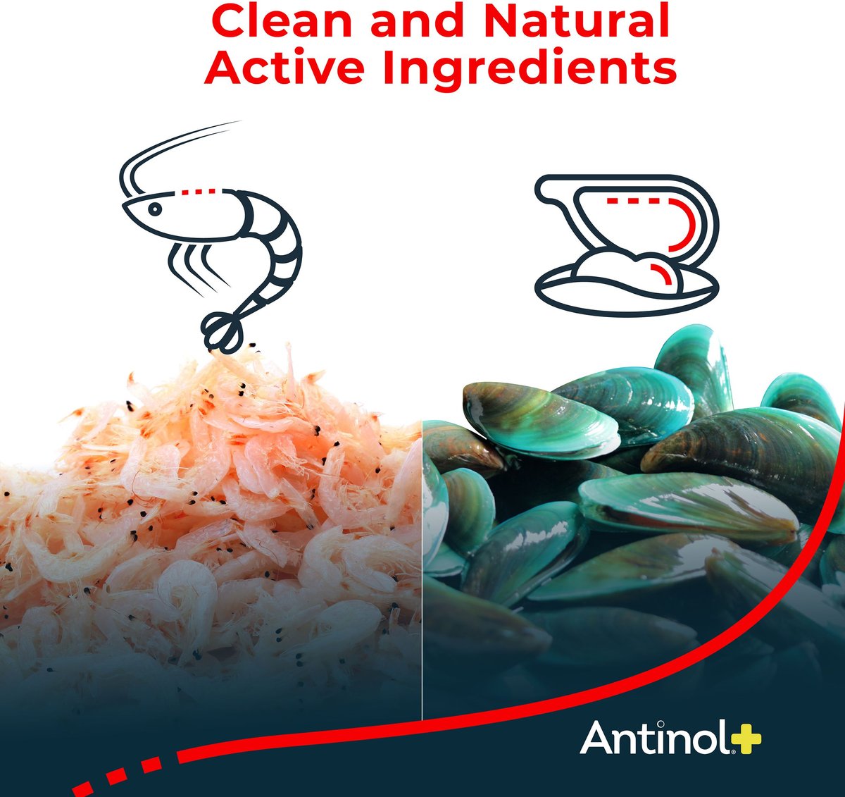 ANTINOL PLUS Softgel Joint Supplement for Dogs, 90 count - Chewy.com