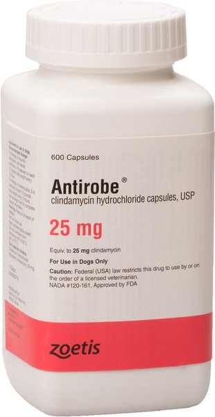 ANTIROBE (Clindamycin HCI) Capsules for Dogs, 25-mg - Easy Refills ...