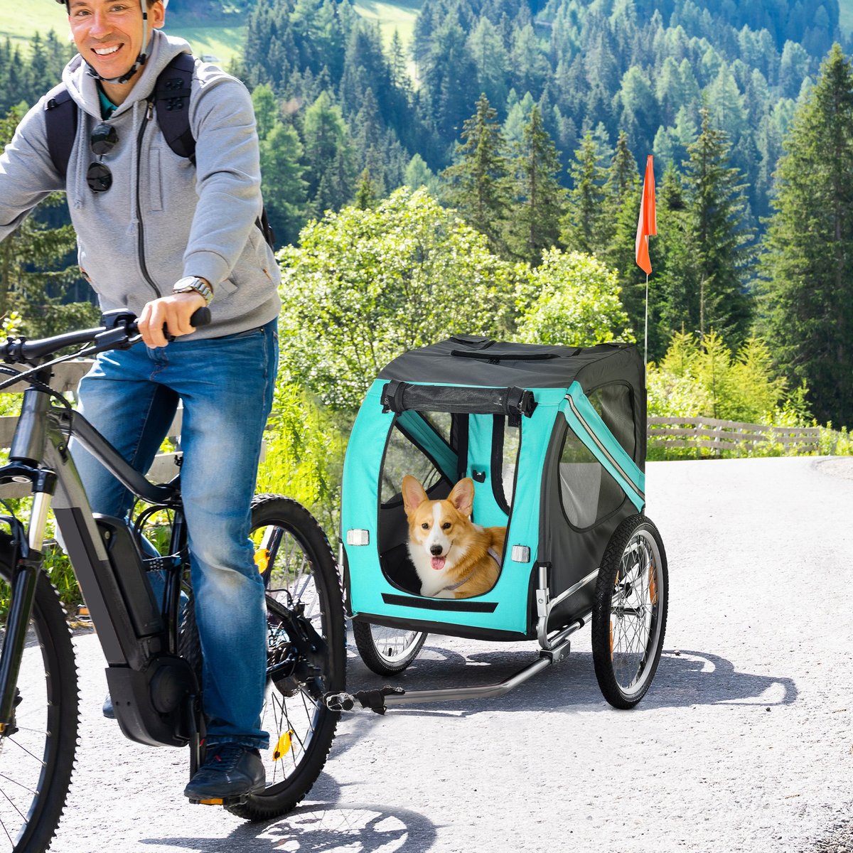 Out of Stock - AOSOM Dog Bike Trailer, Green - Chewy.com