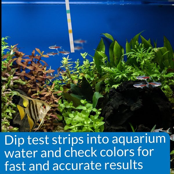 API 5 in 1 Freshwater & Saltwater Aquarium Test Strips, 25 count ...