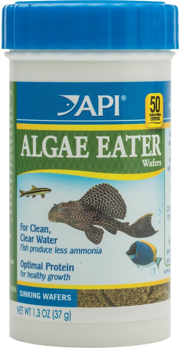 API Algae Eater Wafers Fish Food, 1.3-oz bottle - Chewy.com