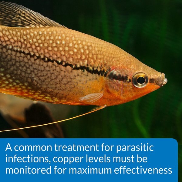 API Copper Cu+ Freshwater & Saltwater Aquarium Test Kit, 90 count ...