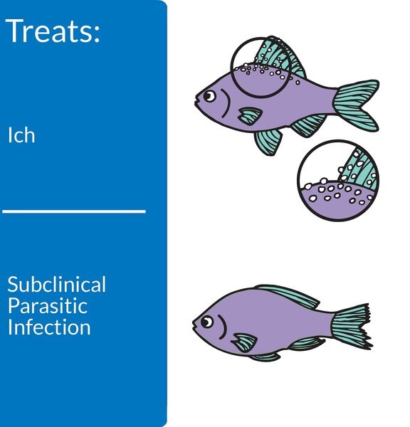 API LIQUID SUPER ICK CURE Freshwater & Saltwater Fish Medication, 4-oz ...