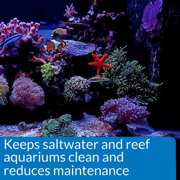 API Marine Stress Zyme Saltwater Aquarium Cleaning Solution, 16-fl oz ...